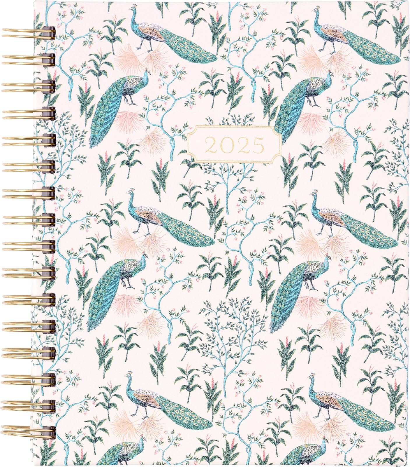 Eccolo 2025 Peacock Spiral Fun Planner