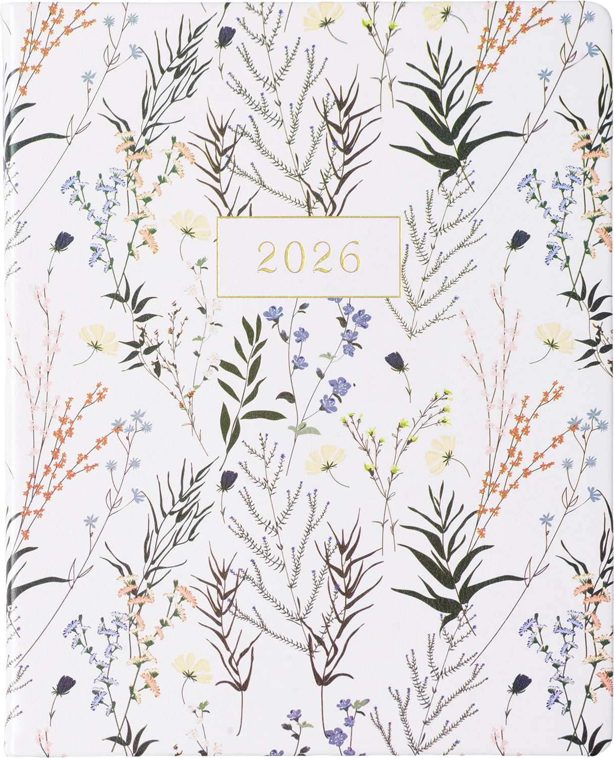 Eccolo 2025-2026 Cream Rooted Large Bound Planner